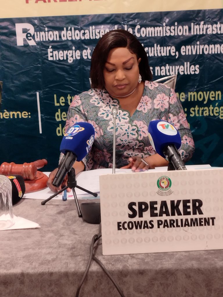 ECOWAS Parliament Opens 2025 Extraordinary Session, Reiterates ...
